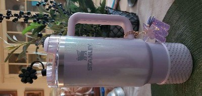 Stanley 30 Oz Stainless Steel H2.0 Flowstate Quencher Tumbler : Target
