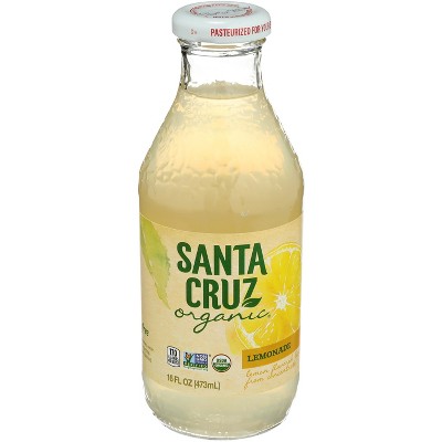 Santa Cruz Organic Lemonade - Case Of 8 - 16 Fl Oz : Target