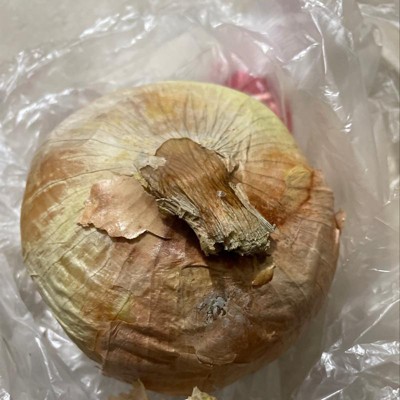 Yellow Onion - Each : Target