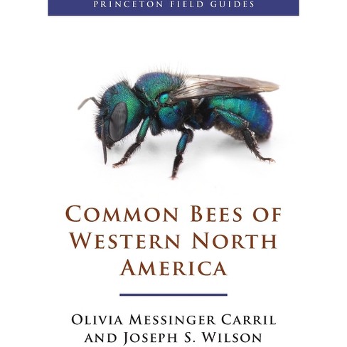 Common Bees Of Western North America - (princeton Field Guides) By ...