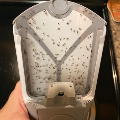 #TargetStyle : Cynthia : Target Finds