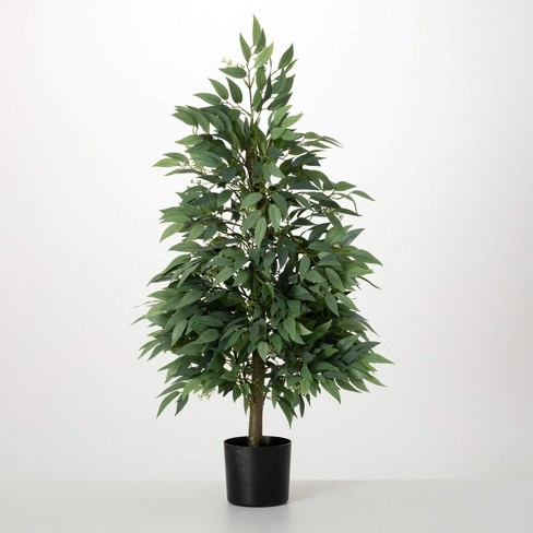 Sullivans 32" Artificial Potted Ruscus Plant : Target