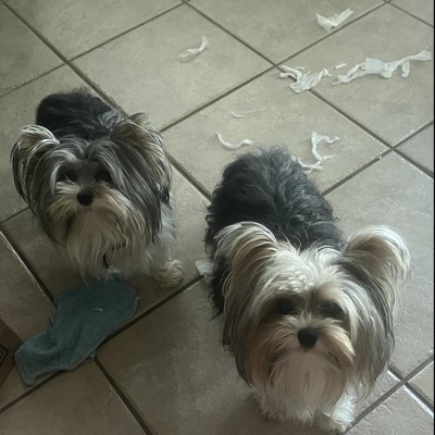 Freshpet Select Roll Tender Chicken And Vegetable Recipe Refrigerated ...