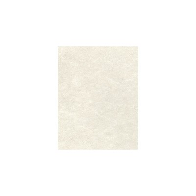Lux Colored Paper 28 Lbs. 8.5"" X 11"" Cream Parchment 500 Sheets/pack ...