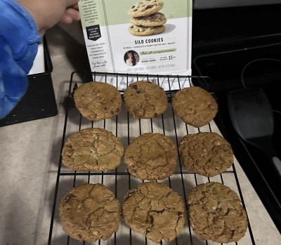 Magnolia Table Silo Cookies Frozen Cookie Dough - 16oz : Target