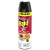 Raid Ant And Roach Killer Bug Spray - Unscented - 20oz/2ct : Target