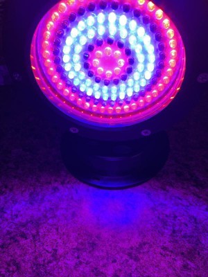 144ct Led Submersible Lights With Inline Controller - Alpine ...
