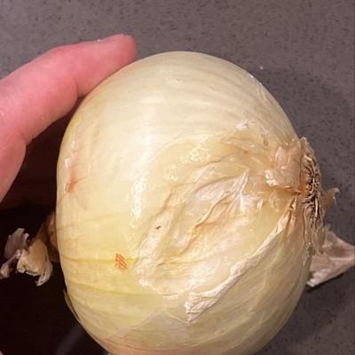 Yellow Onion - Each : Target