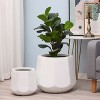 Luxenhome Set Of 2 White Octagon Mgo Planters : Target