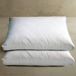 Feather Filled Euro Square Pillow White 2pk - Blue Ridge Home Fashions ...