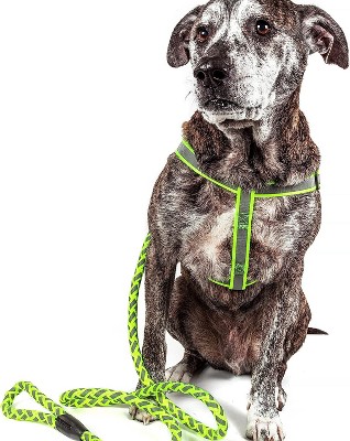 Pet Life Echelon Hands Free And Convertible 2-in-1 Training Dog Leash ...