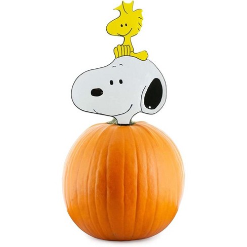 Peanuts 10.5in Snoopy And Woodstock Pumpkin Press-in : Target