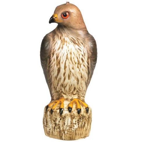 Bird-b-gone Bird Deterrent Decoy For Red Tailed Hawks : Target