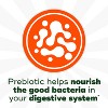 Align Dualbiotic Prebiotic & Probiotic Daily Supplement Gummies ...