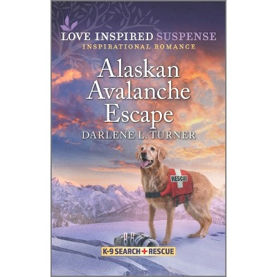 Border Breach - By Darlene L Turner (paperback) : Target