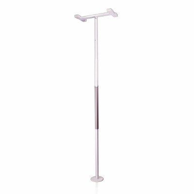 Stander Security Pole - Metallic Black : Target