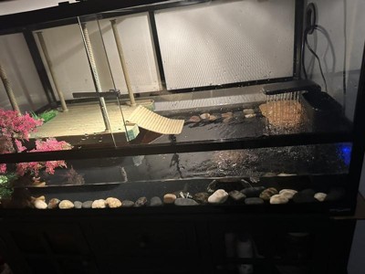 Reptizoo 50gallon Large Turtle Tank Aquarium, 36"×18"×18" Tortoise ...