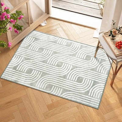 Ultra Soft Area Rug 2*3ft, Non Slip, Stain Resistant Living Room Rug ...