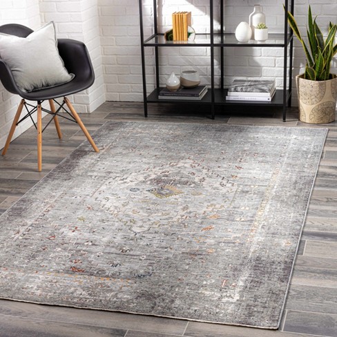 Hauteloom Boli Distressed Area Rug : Target