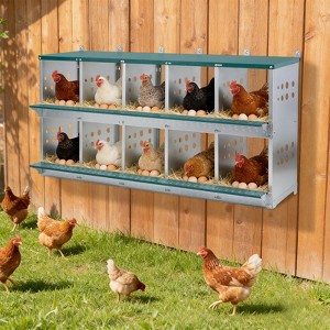 EAGLE PEAK 10 Compartment Metal Nesting Boxes for Chicken, Wall Mount ...