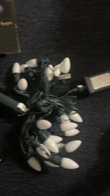 Home Heritage Luminations Christmas Holiday Party Lights, Twinkly Smart ...