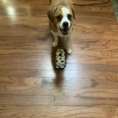 Bark Super Chewer Cow Dog Toy - Mad Cow : Target