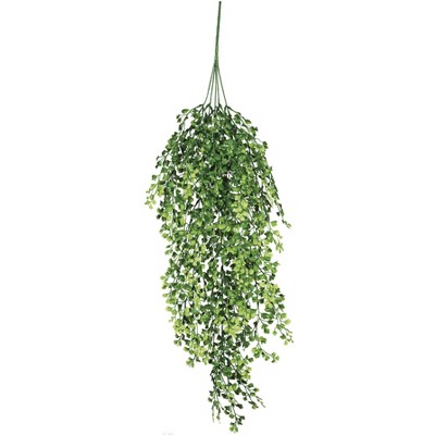 Sullivan's Maiden Hair Fern Vine, Green Faux Floral Stem for Crafting ...