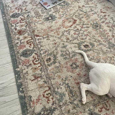 Nuloom Lenore Vintage Floral Area Rug : Target