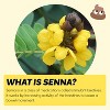 Senna Laxative Natural Sennosides Syrup 8.8 mg per 5 mL for Gentle and ...
