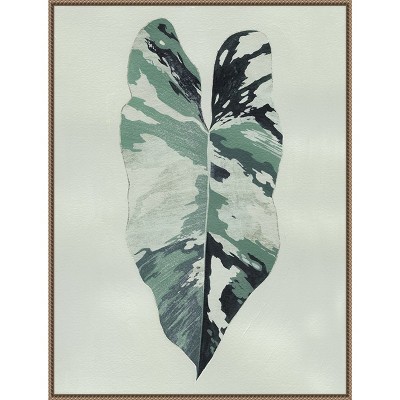 Amanti Art Variegated I By Grace Popp Framed Canvas Wall Art : Target