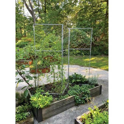 Titan Pea Tunnel, Extra Strong Lightweight Metal Trellis For Vegetables ...