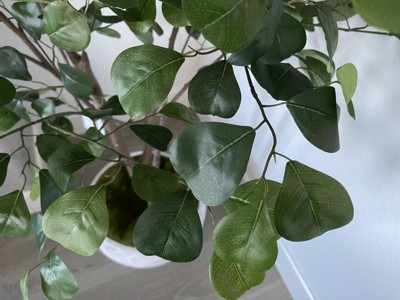 72" Artificial Ficus Tree - Threshold™ Designed With Studio Mcgee : Target