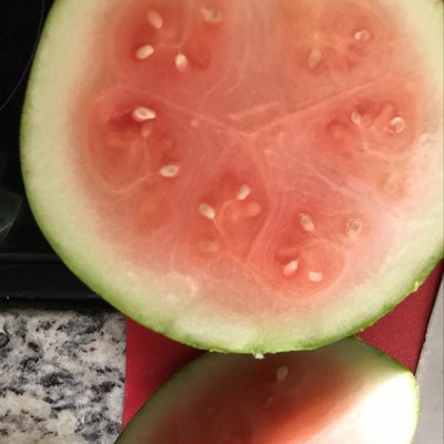 Mini Watermelon - Each : Target