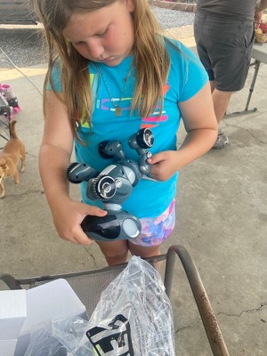 Educational Insights Pyxel The Coding Pet : Target