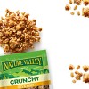 Nature Valley Oats 'n Honey Granola Crunch - 16oz : Target