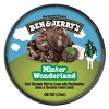 Ben & Jerry's Minter Wonderland Dark Chocolate Mint Ice Cream - 16oz ...