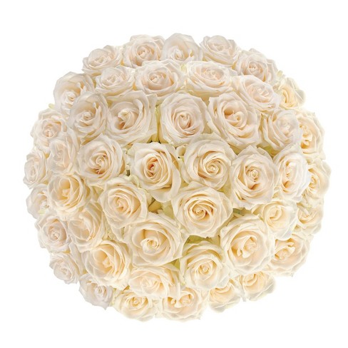 Fresh Cut White Roses - 50 Stems : Target