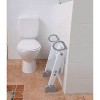 Dreambaby Step-up Toilet Topper Potty Training Seat - Gray/white : Target