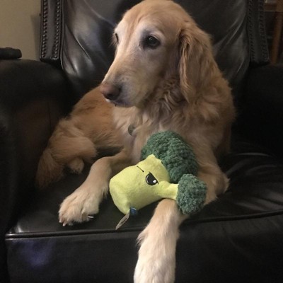 Bark Punk Brocc Broccoli Dog Toy : Target