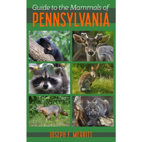 Guide To The Mammals Of Pennsylvania - (regional) By Joseph Merritt ...