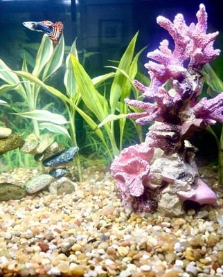 Biorb Reef Ornament Aquarium Sculptures : Target