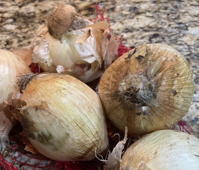 Yellow Onions - 3lb Bag - Good & Gather™ : Target