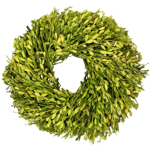Northlight Green Foliage Artificial Spring Wreath - 11" - Unlit : Target