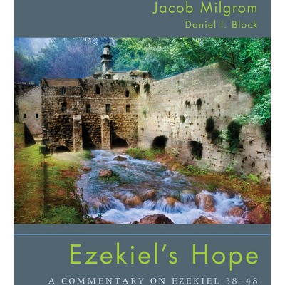 Ezekiel's Hope - By Jacob Milgrom & Daniel I Block (hardcover) : Target