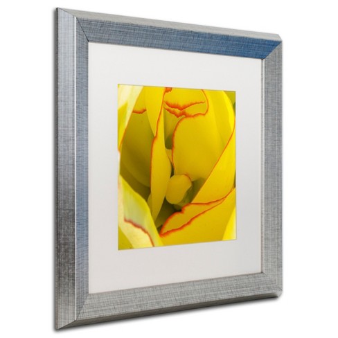 Trademark Fine Art -kurt Shaffer 'inside A Beautiful Tulip' Matted ...