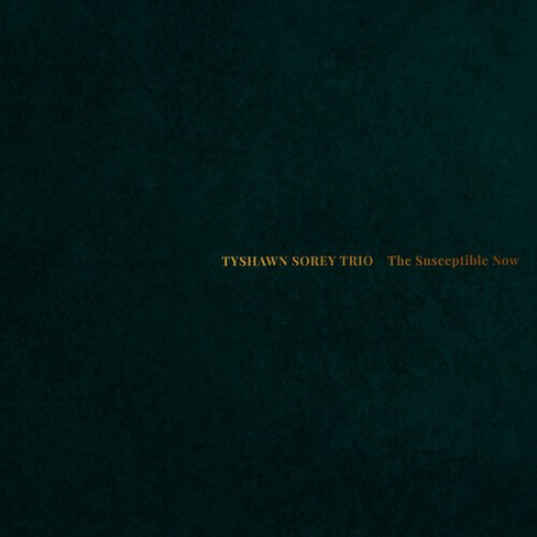 Tyshawn Sorey Trio - The Susceptible Now : Target