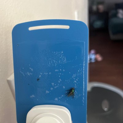 Stem Flying Insect Light Trap Starter Kit - 1 Unit + 1 Refill : Target