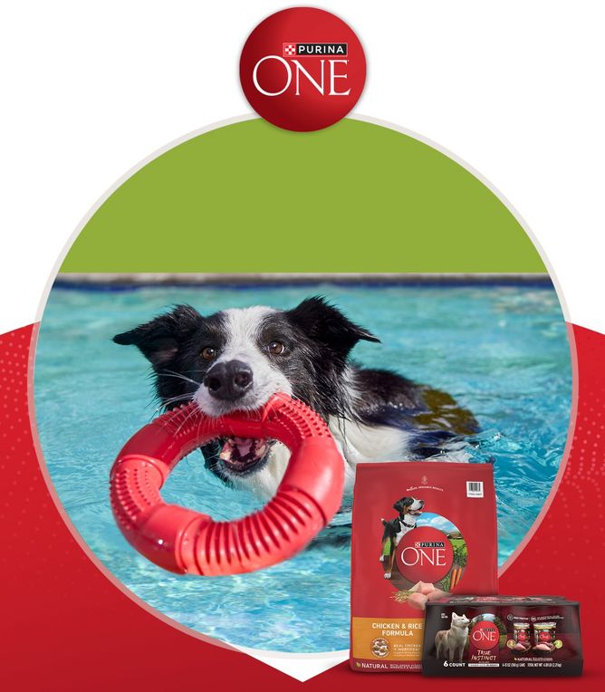 Purina ONE : Target