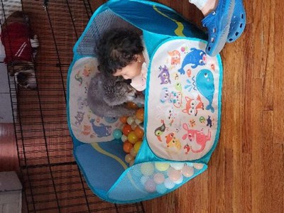 B. Play - Ball Pit With Balls - Mini Playspace : Target