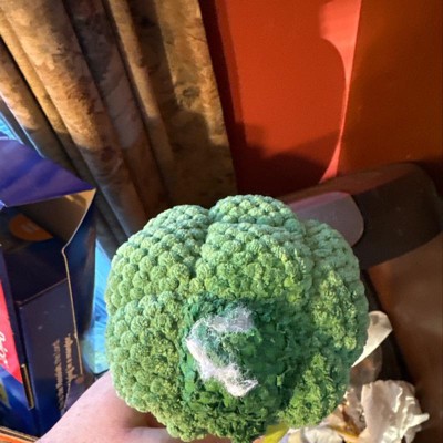 Bark Punk Brocc Broccoli Dog Toy : Target